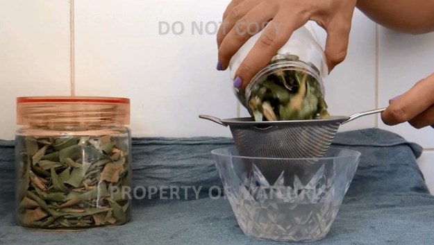 DIY Neem Infused Coconut Oil (Recipe 5) | Maicurls